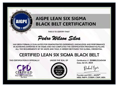 Pedro Wilson Silva On Linkedin Proud To Share That Ive Achieved My Lean Six Sigma Black Belt