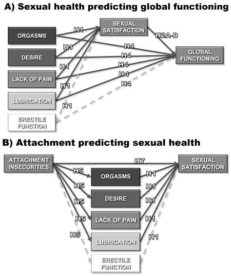 Conceptual Frameworks Linking Sexual Health To Physical Mental And
