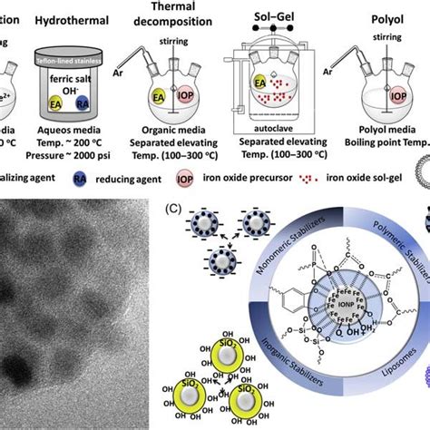 2 Extraction Of Alginate From Algae Download Scientific Diagram