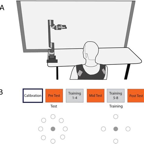 A Schematic Of Experiment Participants Wore Inertial Measurement Download Scientific Diagram