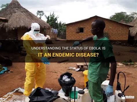 Understanding The Status Of Ebola Is It An Endemic Disease Medshun