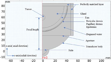 The Set Up And Tissue Layers Of The Breast Used In The Computational