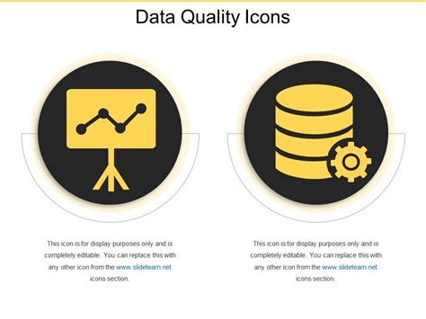 Icon Data Profiling