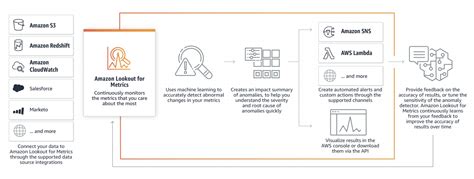Detect Anomalies Using Amazon Lookout For Metrics And Review Inference