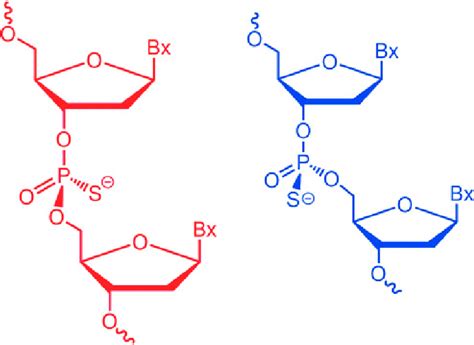 Schematic Representation Of Phosphorothioatemodified Oligonucleotides