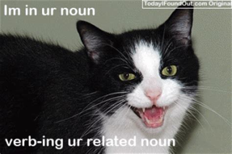 The Origin Of The LOLCat Meme