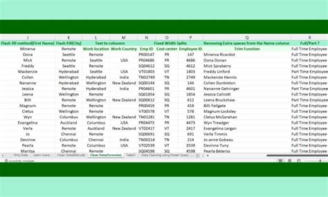 provide excel data formatting and cleaning in 24 hours by hamza ihsan5