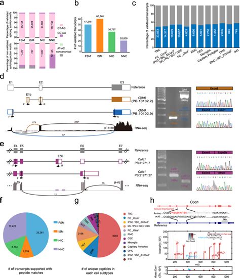 Validation Of The As Events Of Long Read Sequencing Data At Both