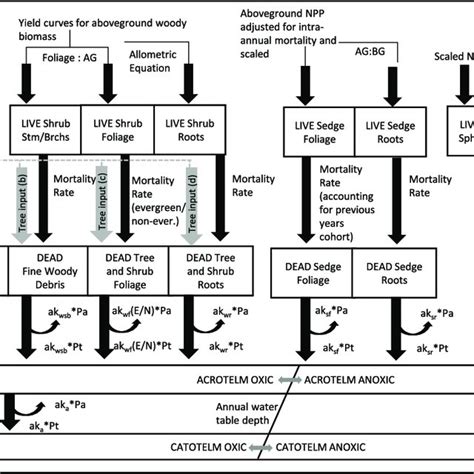The Canadian Model For Peatlands Version 20 Camp V20 Model