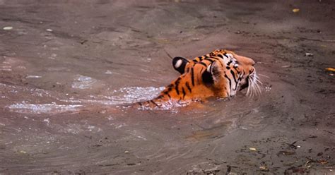 Summer Pics Its Bath Time Get Ahead