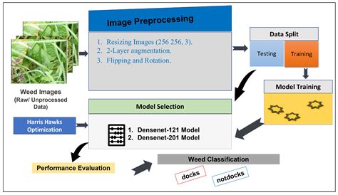A Metaheuristic Harris Hawks Optimization Algorithm For Weed Detection Using Drone Images