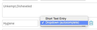 Drop Down List In Creating Forms SimplePractice Support