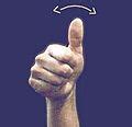 Thumbs Up Wikimedia Commons