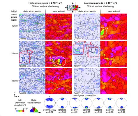 Overview Of Numerical Microstructures After 50 Of Vertical Download Scientific Diagram