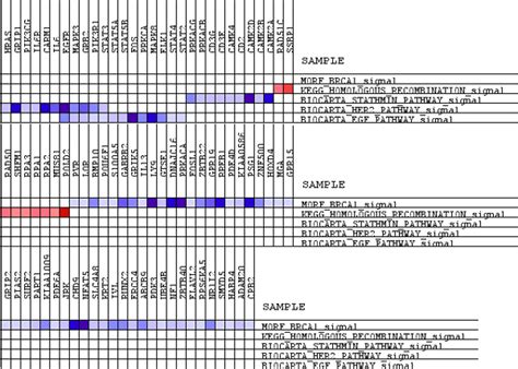 Heat Map Of Frma Merged Datasets Download Scientific Diagram