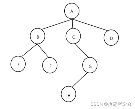 初阶数据结构：二叉树 技术分享 云服务器