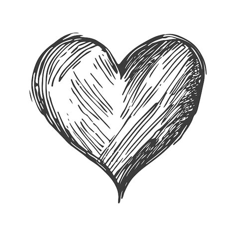 Vector De Corazón Dibujado Vector Premium