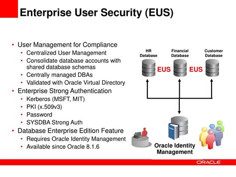 ppt oracle database 11g lock down your data powerpoint presentation