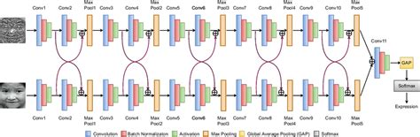 Structure Of The Proposed Cc Cnn Model Download Scientific Diagram