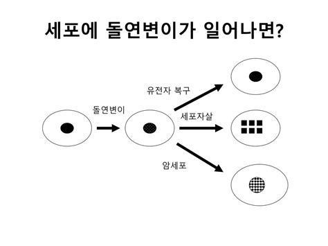 Ppt 제 3 강 생명의 기원 Powerpoint Presentation Free Download Id 4023164