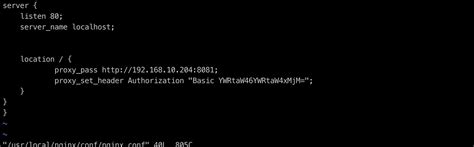 Nginx Nginx通过proxysetheader转发实现免密登陆nexusnexus Mods免登录 Csdn博客
