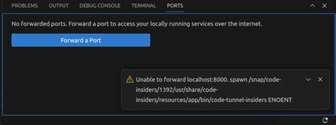 Port Forwarding Attempts Wrong Path To Tunnel Binary On Linux · Issue