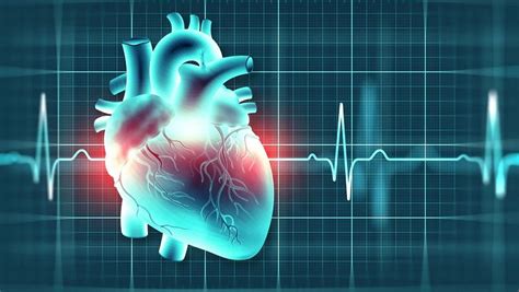 Ekg Blok Leve Grane Interna Medicina Moja Medicina