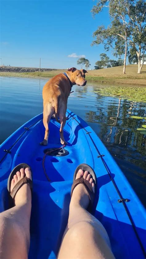 Recommend Self Sufficient In Mental Health Self Sufficient Culture