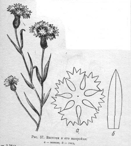 Пин на доске Quilling çiçekyap Самодельные цветы из ткани Бумажный цветочный фон Как сделать