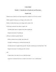 Psuedo Code Flowchart Activity Allard Docx Coleen Allard Module Introduction To