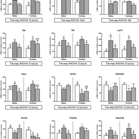 Microarray Data Classification Into Biological Processes Of The Genes