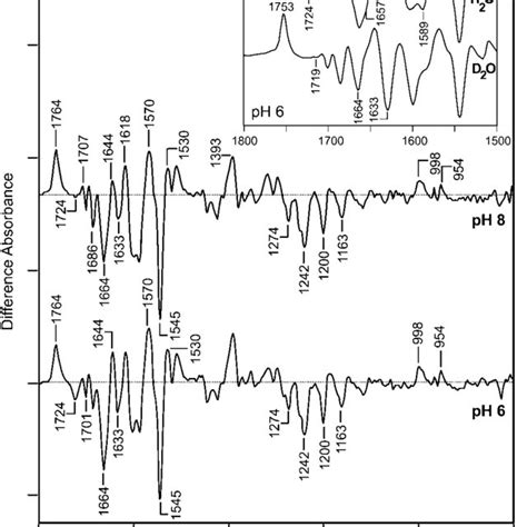 Time Resolved Ftir Difference Spectra Of Srii Transducer Free Compared Download Scientific