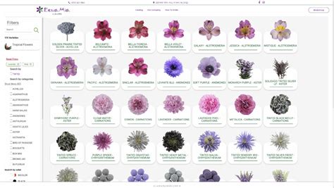 Welcome To Our Webshop Florex Sales