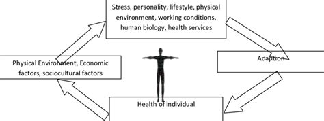 Ecological Approach To Human Health Download Scientific Diagram