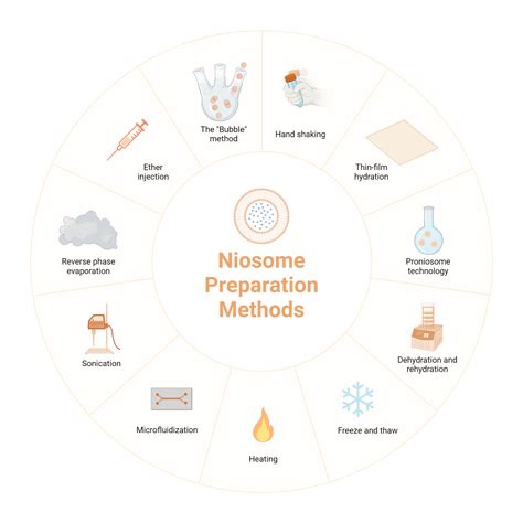 Niosome Preparation Methods Biorender Science Templates