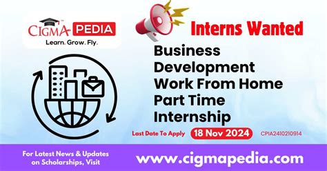 Business Development Work From Home Part Time Internship By Pawzz How