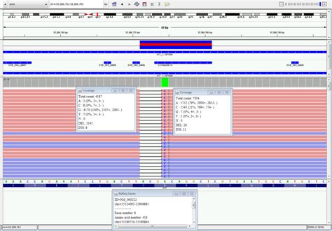 Next Generation Sequencing Types Of Variants Lablogatory
