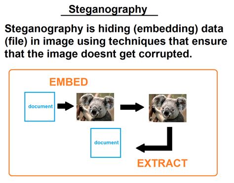 Github Shubamuzumakisteganography Hide Any Type Of File Into An Image Using Lsb