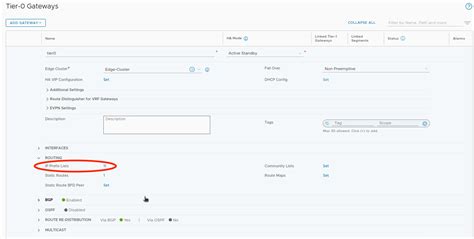 NSX T L VPNs Route Based VPNs Dynamic Routing LumberjackWizard
