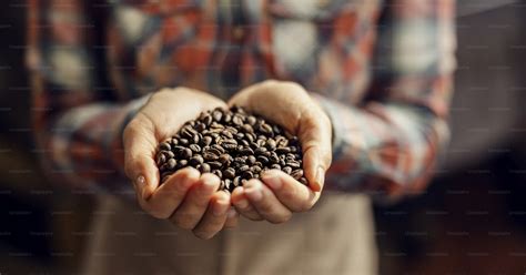 커피 공장에서 커피 원두를 들고 있는 여자의 손을 닫습니다 사진 Unsplash의 일하는 장소 이미지