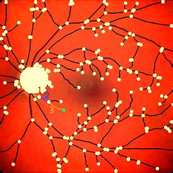 Segmentation Example