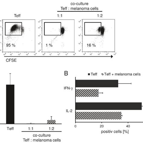 Treg Marker Expression On Human Melanoma Cell Lines And Primary