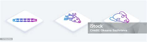 카트리지가있는 등각 투영 라인 사냥 카트리지 벨트 뿔이있는 사슴 머리 및 사냥개를 설정합니다 흰색 사각형 버튼 벡터 3차원 형태에 대한 스톡 벡터 아트 및 기타 이미지