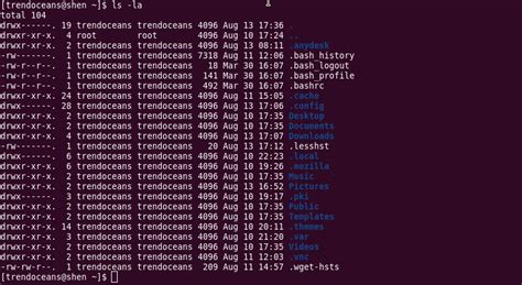 Some Common Options You Can Use With The Ls Command TREND OCEANS