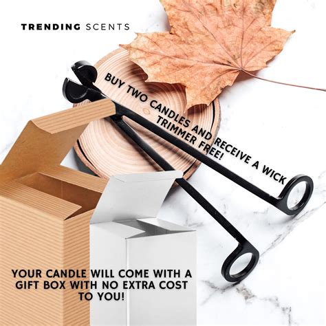 Smells Like Dylan Obrien Celebrity Inspired Candle Soy Wax Candle T Candle Smells Like