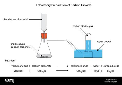 Diagram Of Carbon Dioxide Preparation Diagram Laboratory Hyd