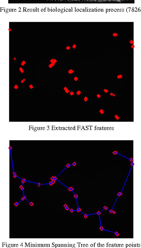 Figure 1 From The Object Localization And Spatial Analysis Using