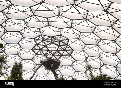 A Close Up View Of A Geodesic Dome Structure Showcasing The Intricate