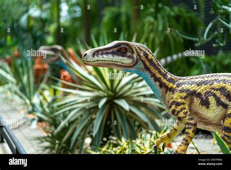 Jurassic Park 2 Little Dinosaurs