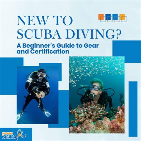 New To Scuba Diving A Beginners Guide To Gear And Certification